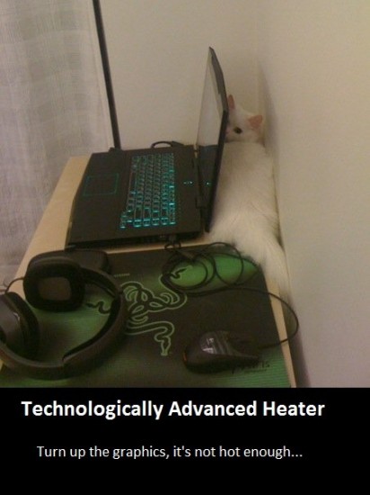 My Favorite Computer-Themed LOLCats | Crooked Glasses